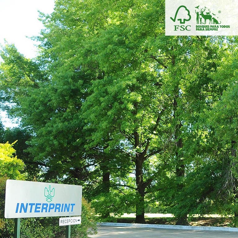 Interprint - 55 años ofreciendo soluciones al mercado del packaging ...